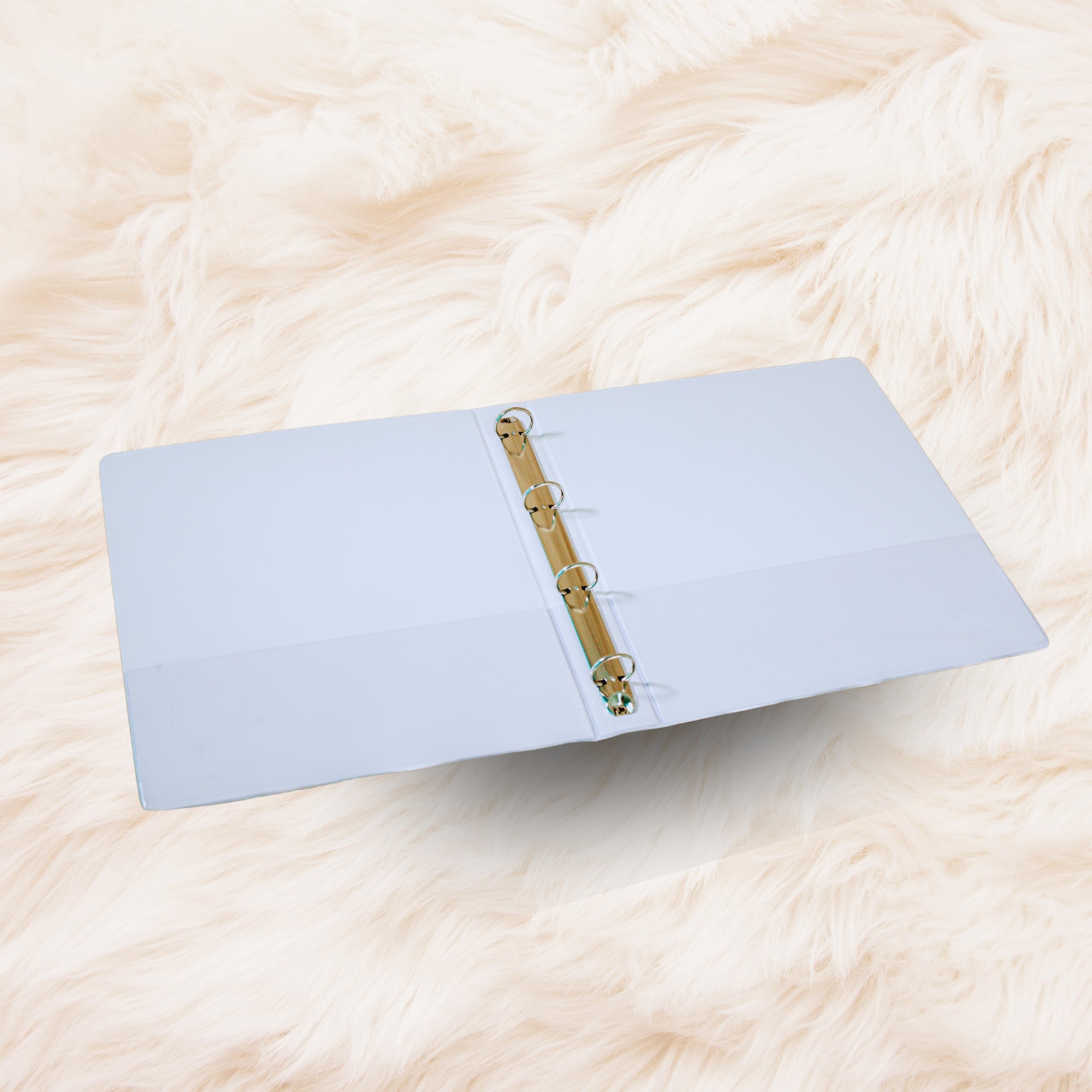 Organist Binder – Ka Elvie's Corner